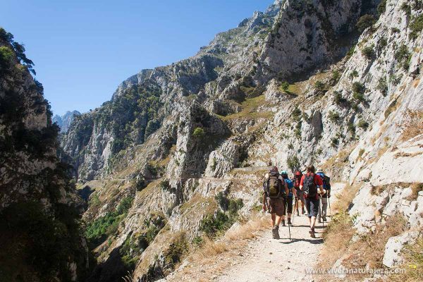 Deportes de aventura en la naturaleza - Vive la Naturaleza